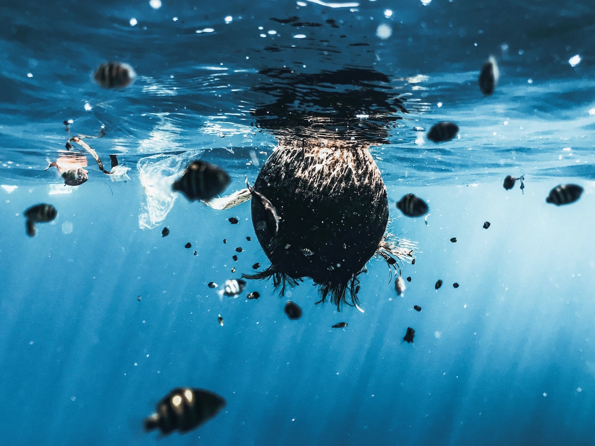 Innovations in Clean Water Technology – Active Wellness Blog
