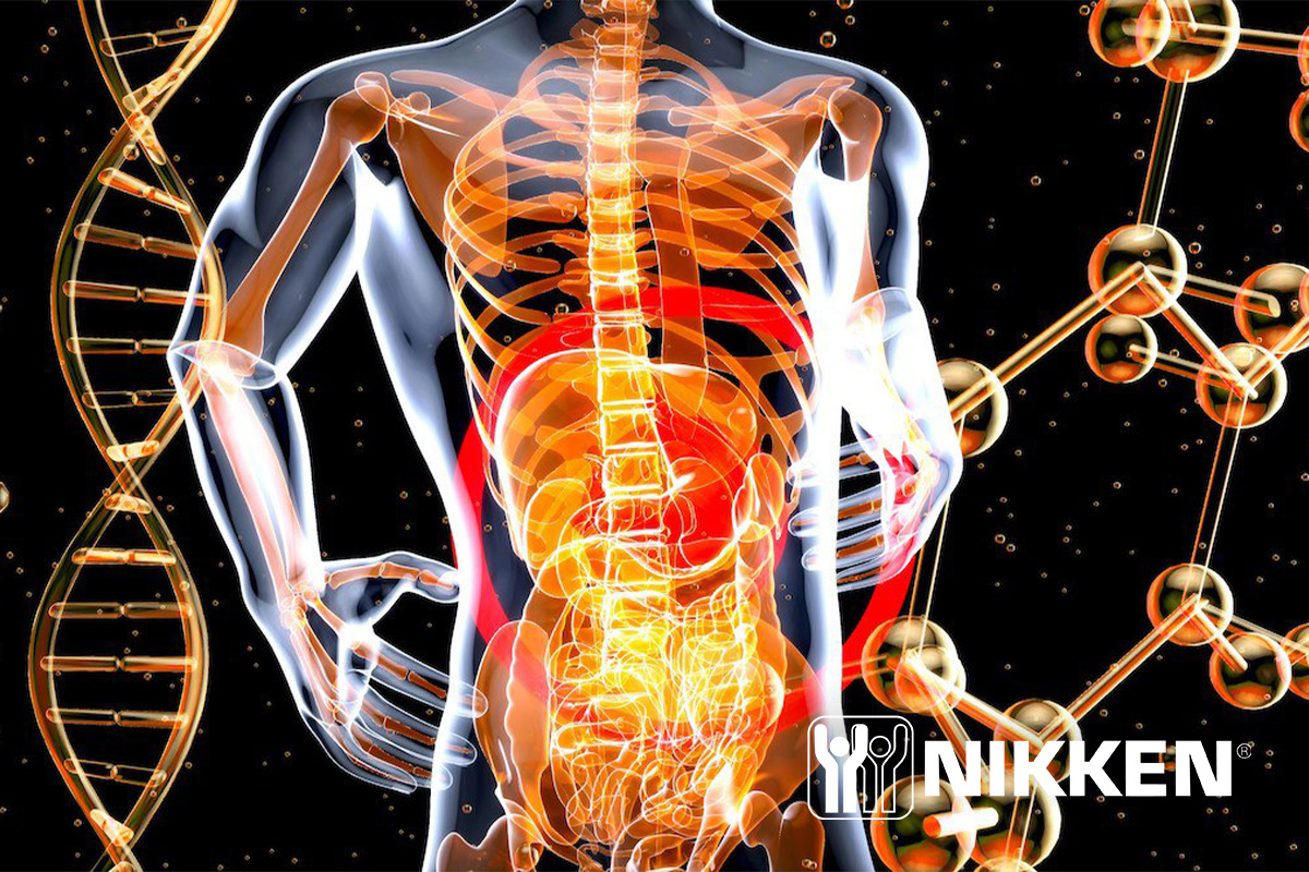 How Does Water Affect Gut Health? – Active Wellness Blog
